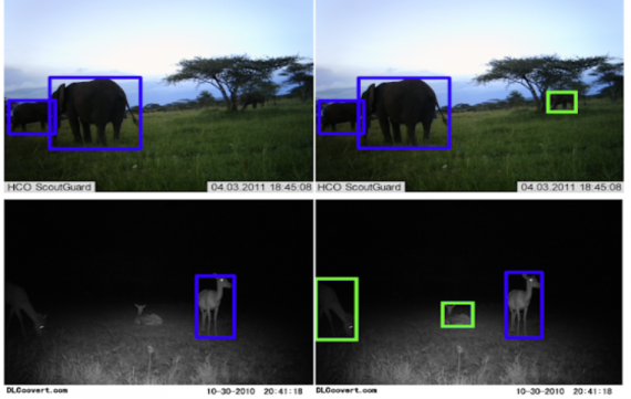 Neurohive - Neural Networks